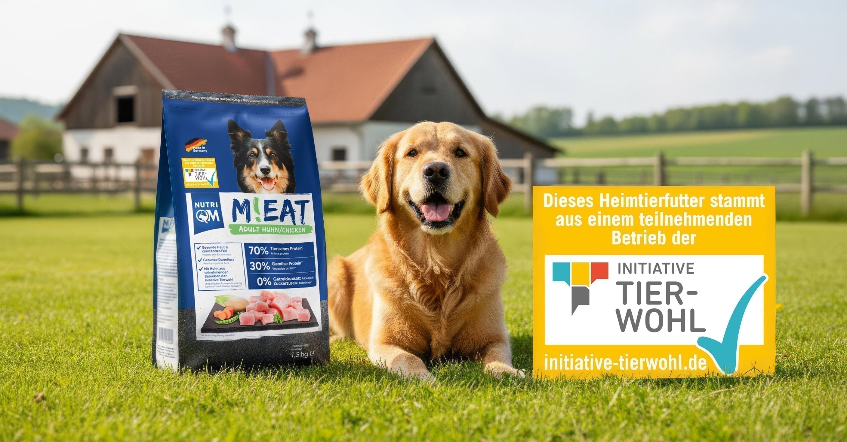 Mehr Verantwortung im Futternapf: Tierwohl-Initiativen bei Hundefutter ...