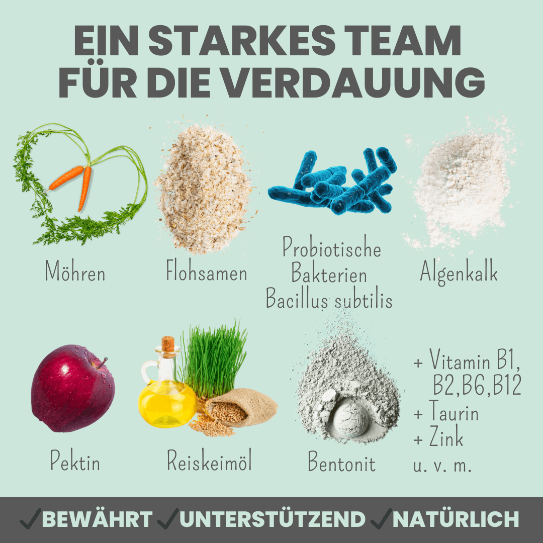 noms+ Verdauungsmix für Hunde als Probiotikum für Magen- ... – zoo.de