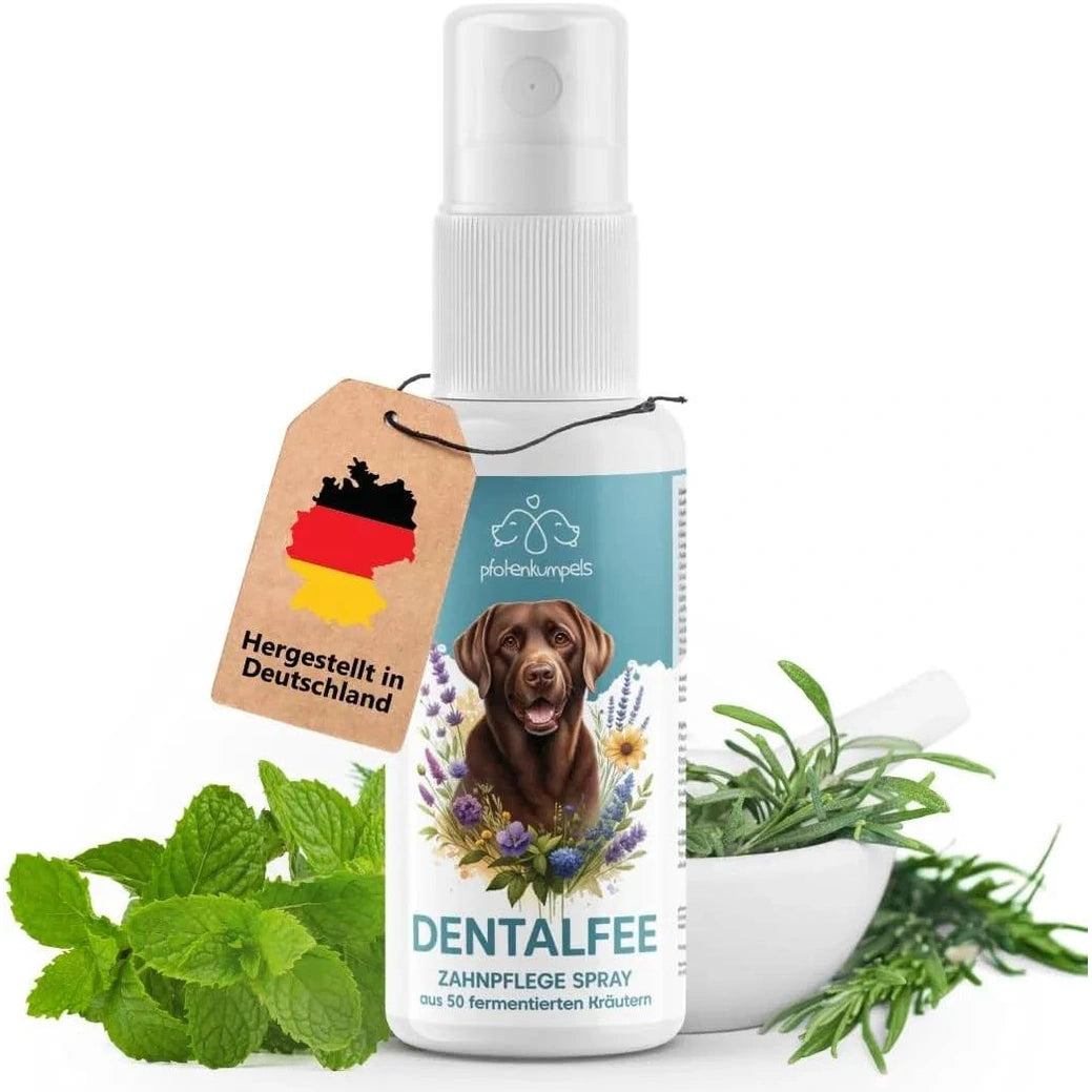 pfotenkumpels Dentalspray Dentalfee – zoo.de